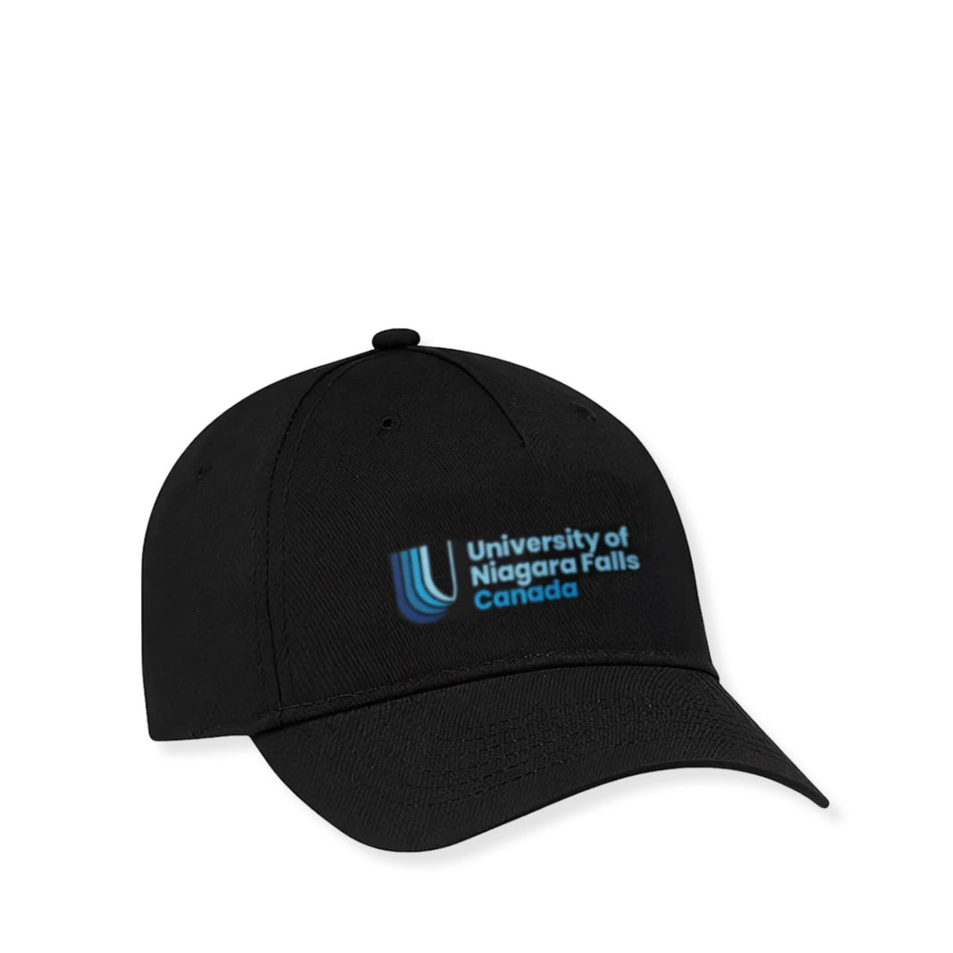 University of Niagara Falls Canada